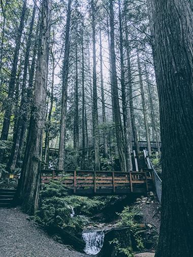 Cascade Falls | Fraser Valley Regional District