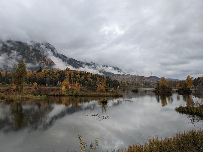 Cheam Lake Wetlands | Fraser Valley Regional District