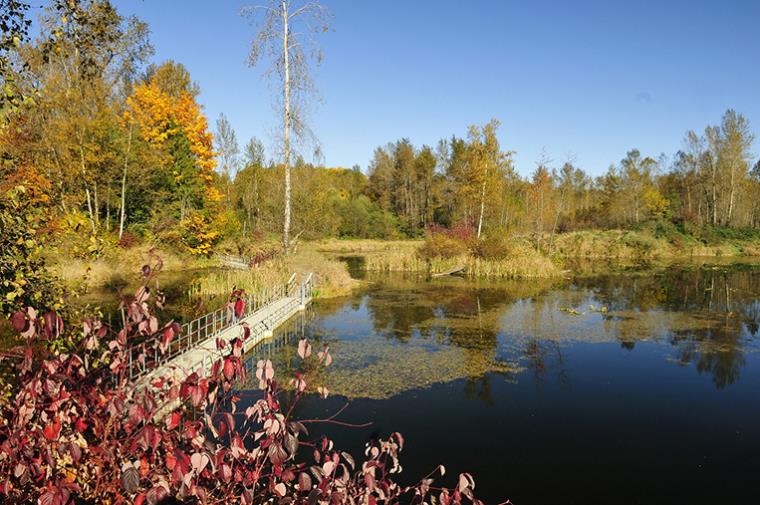 Cheam Lake Wetlands | Fraser Valley Regional District