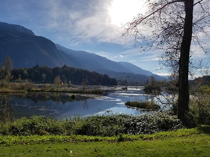Cheam Lake Wetlands | Fraser Valley Regional District
