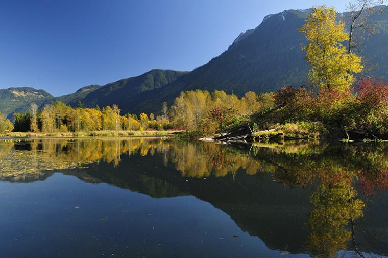 Cheam Lake Wetlands | Fraser Valley Regional District
