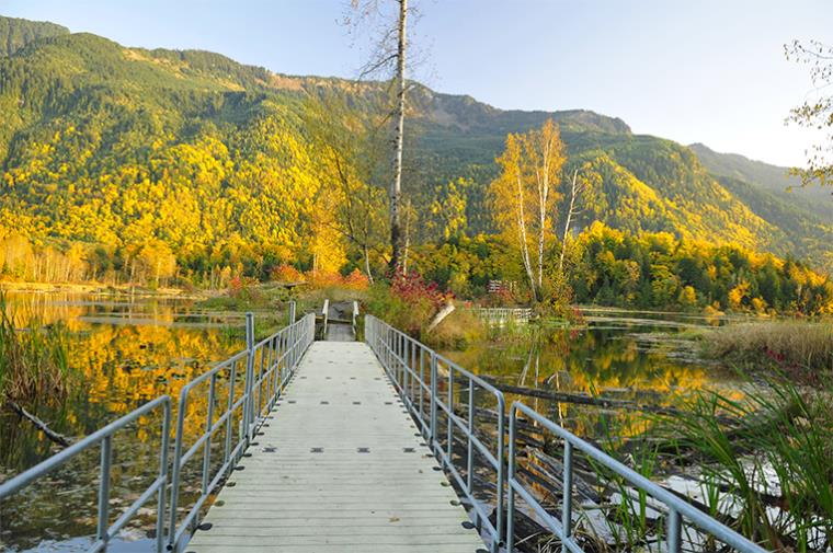 Cheam Lake Wetlands | Fraser Valley Regional District