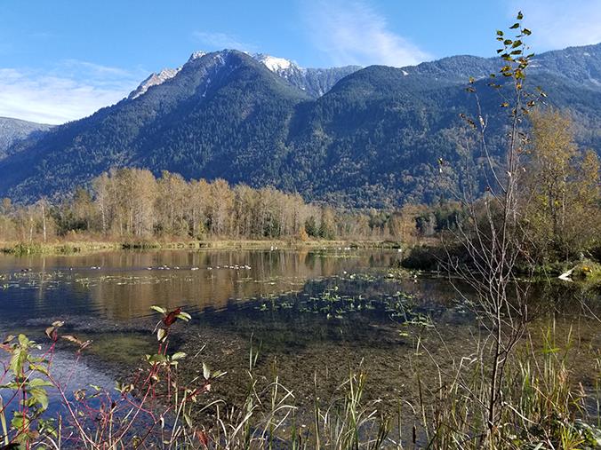 Cheam Lake Wetlands | Fraser Valley Regional District