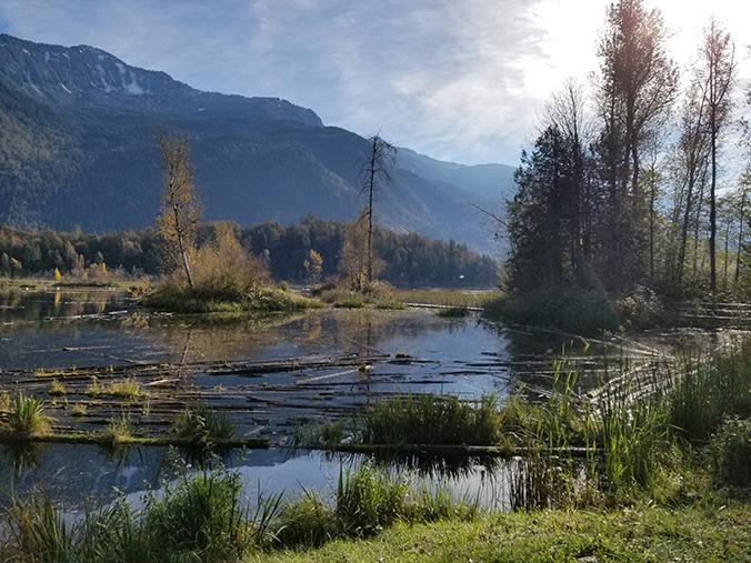 Cheam Lake Wetlands | Fraser Valley Regional District