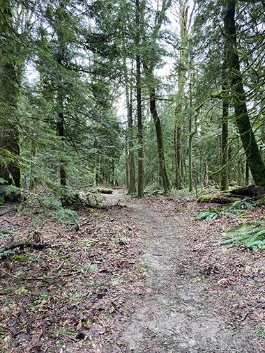 East Sector | Fraser Valley Regional District