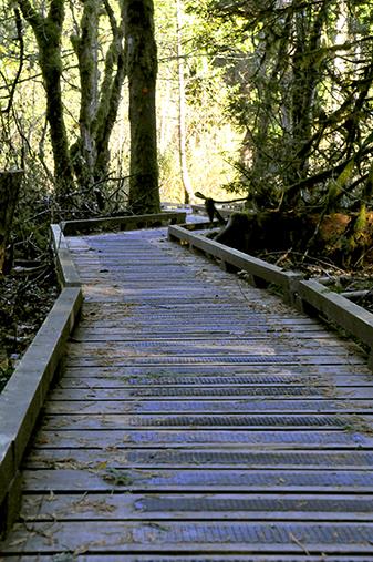 East Sector | Fraser Valley Regional District