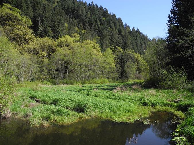 East Sector | Fraser Valley Regional District