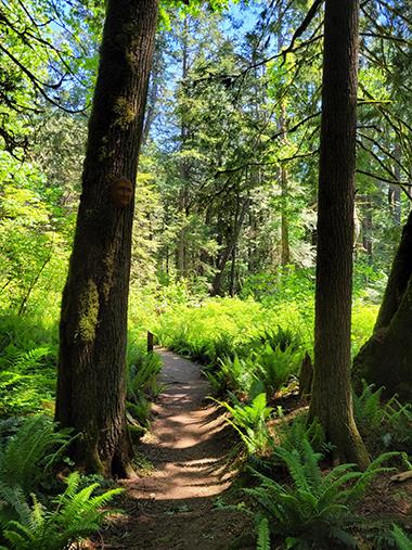 East Sector | Fraser Valley Regional District