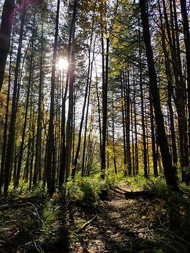 East Sector | Fraser Valley Regional District