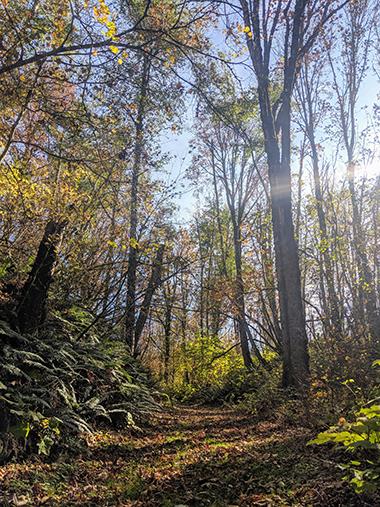 Hillkeep | Fraser Valley Regional District