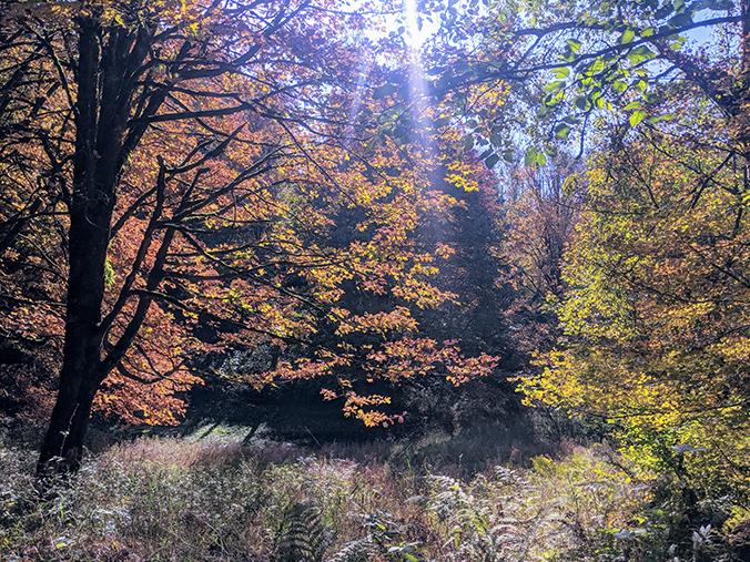 Hillkeep | Fraser Valley Regional District