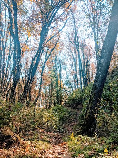 Hillkeep | Fraser Valley Regional District