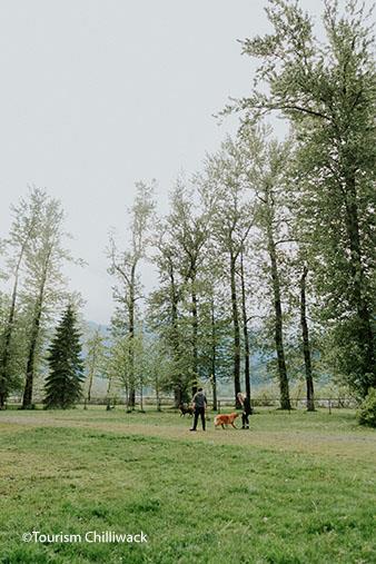 Island 22 | Fraser Valley Regional District