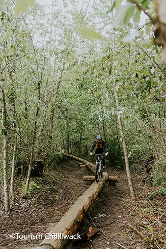 Island 22 | Fraser Valley Regional District