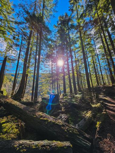 Sumas Mountain | Fraser Valley Regional District