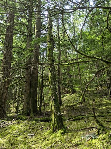 Sumas Mountain | Fraser Valley Regional District