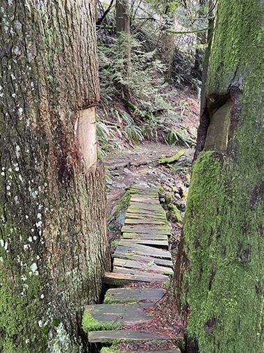 Sumas Mountain | Fraser Valley Regional District