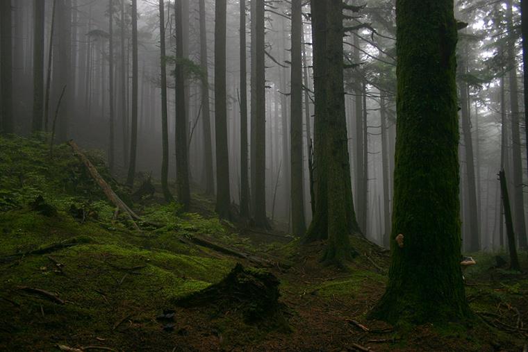 Sumas Mountain | Fraser Valley Regional District