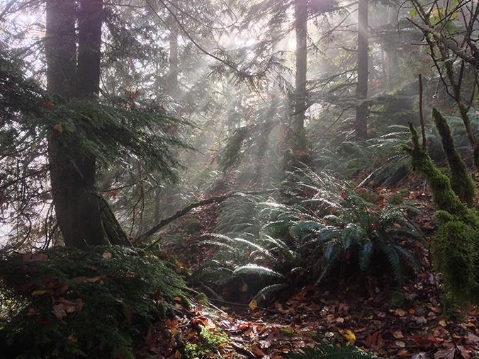 Sumas Mountain | Fraser Valley Regional District