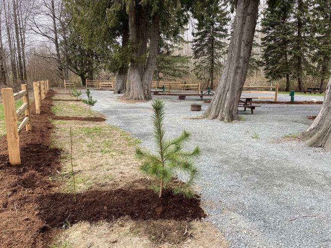 Vedder River Campground | Fraser Valley Regional District