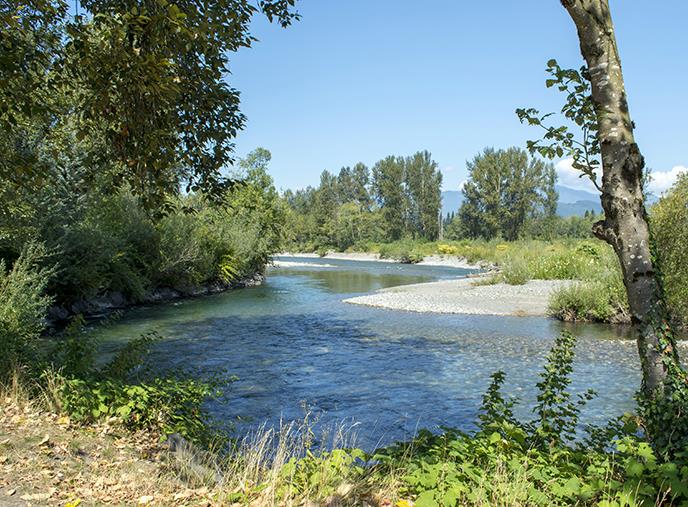 Vedder River Campground | Fraser Valley Regional District